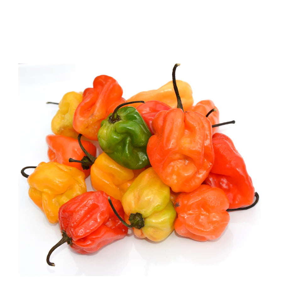 Fresh Habenero Chilli 150gm – Masala Markt